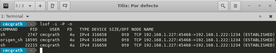 Generar un Reverse Shell con Msfvenom para sistemas Linux – Origen(Data);